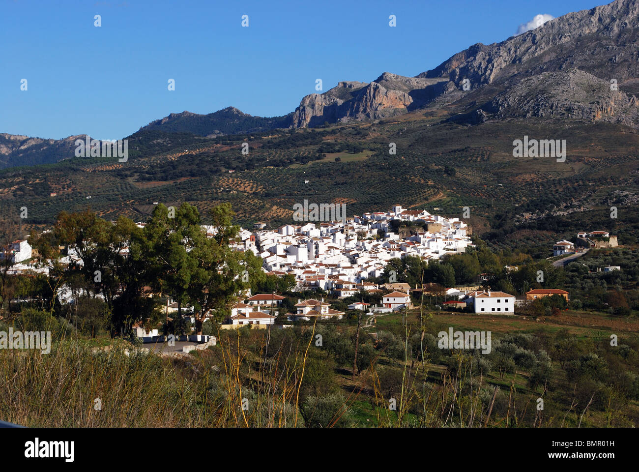 View of the village with mountain to the rear, whitewashed village, El ...