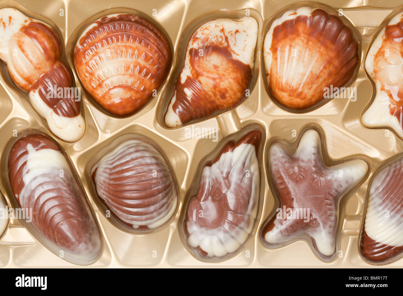 chocolate seashells on white background Stock Photo - Alamy