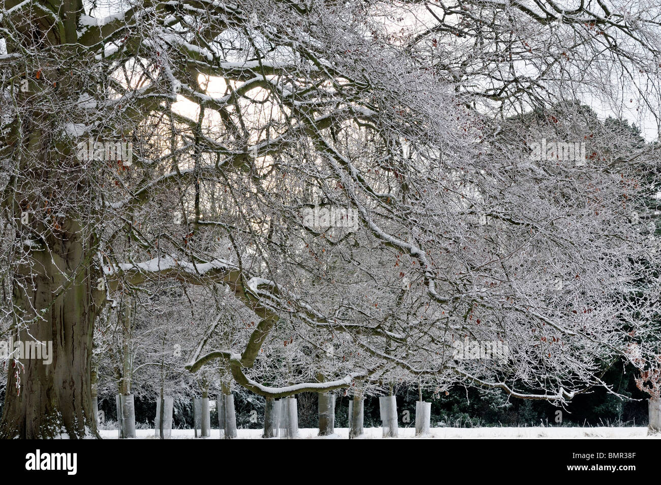 Dublin christmas snowfall hi-res stock photography and images - Alamy