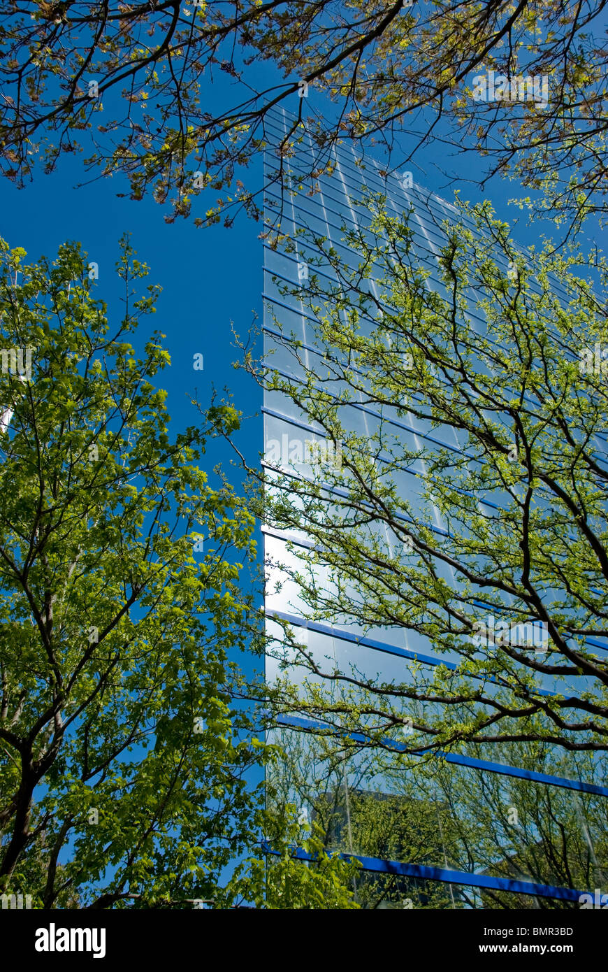 Skyscraper and tree Stock Photo - Alamy