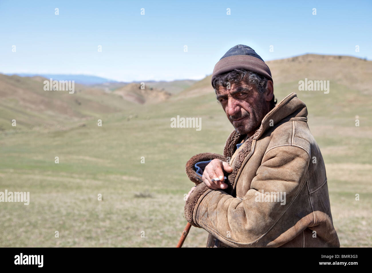 David the shepherd hi-res stock photography and images - Alamy