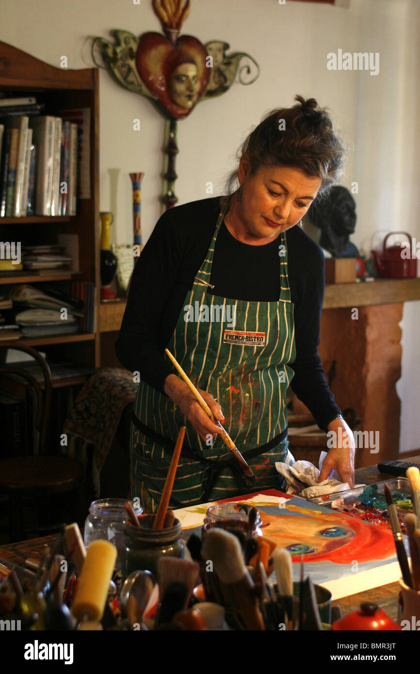Prominent artist Jane Evans in her studio in Nelson, New Zealand Stock ...