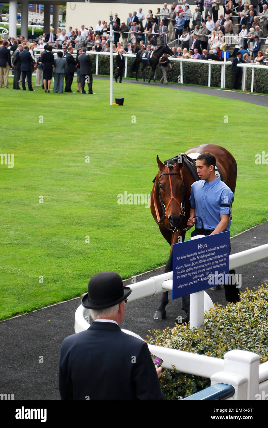 Ascot racecourse hi-res stock photography and images - Alamy