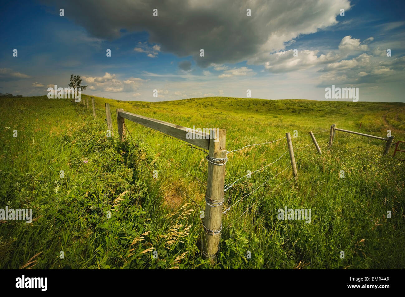 Morecambe, Alberta, Canada; A Fence In A Field Stock Photo - Alamy