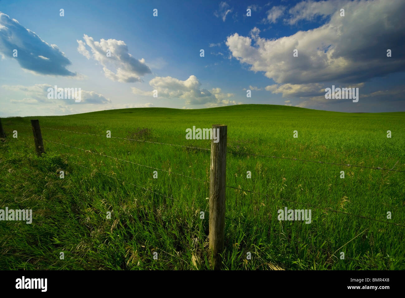 Morecambe, Alberta, Canada; A Fence In A Field Stock Photo - Alamy