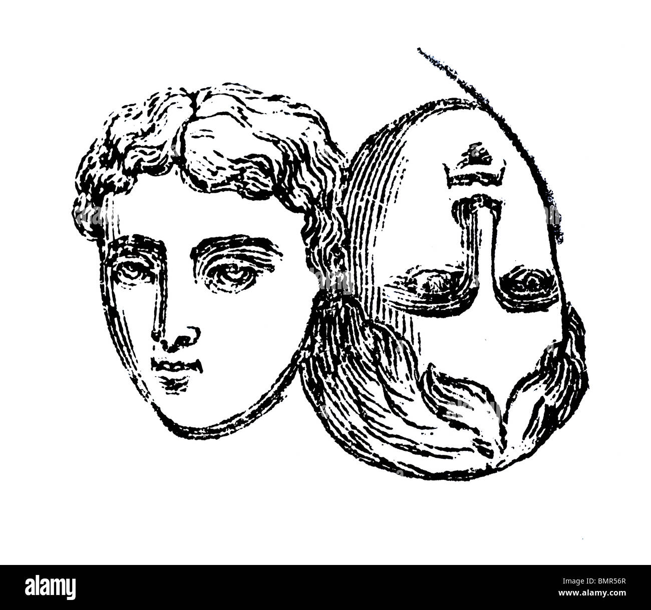 Dioscuri hi-res stock photography and images - Alamy