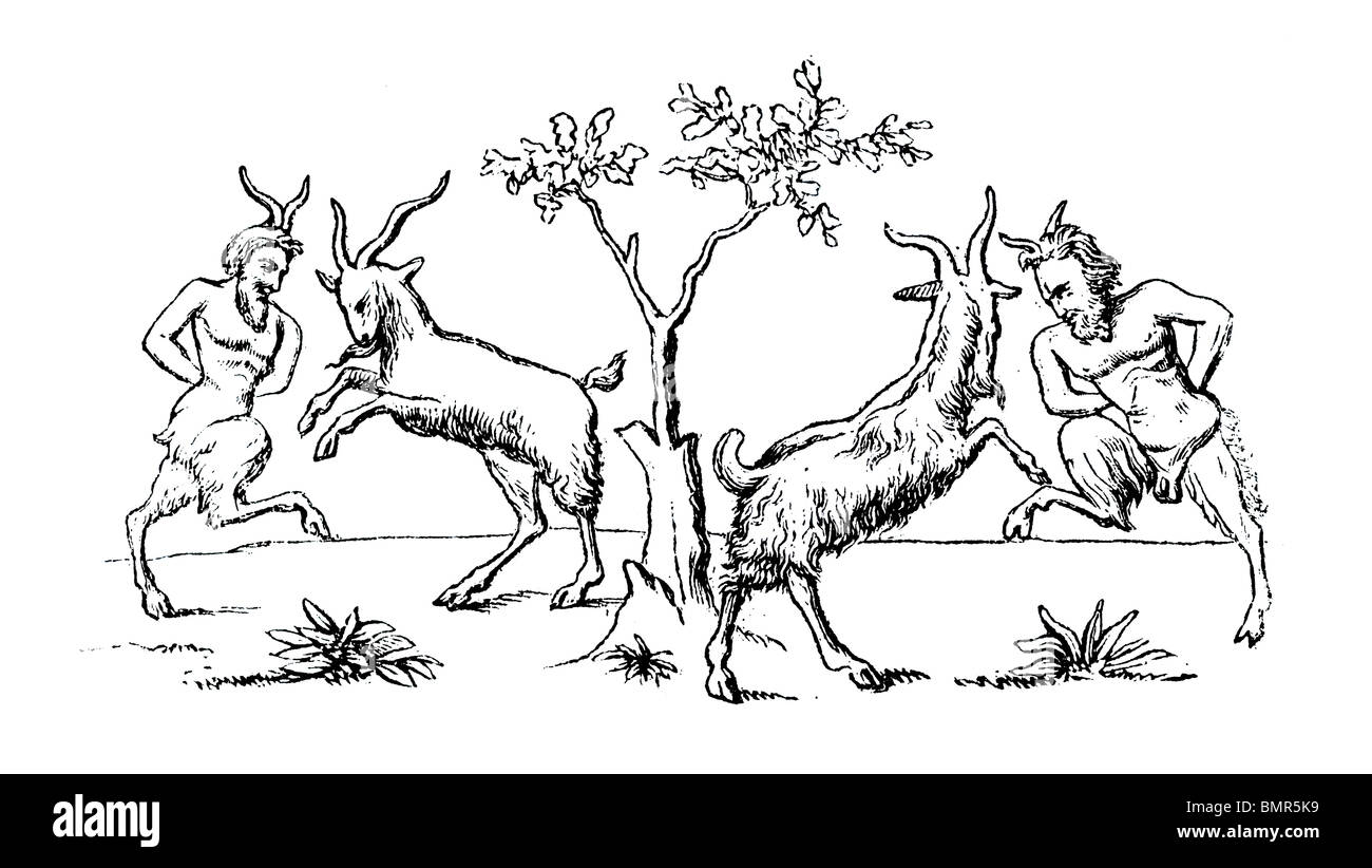 Goat b Cut Out Stock Images & Pictures - Alamy