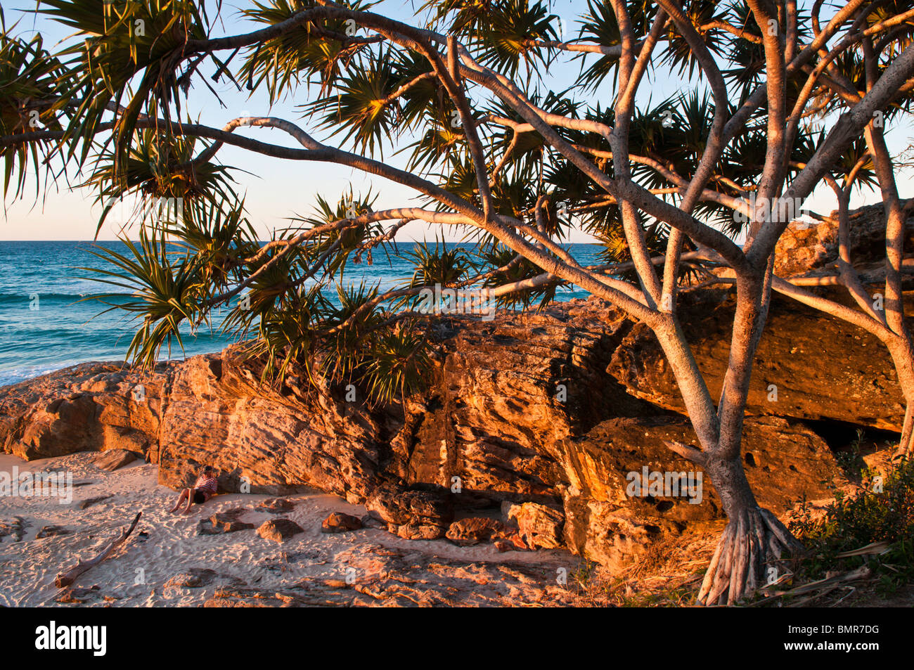 Rock adder hi-res stock photography and images - Alamy