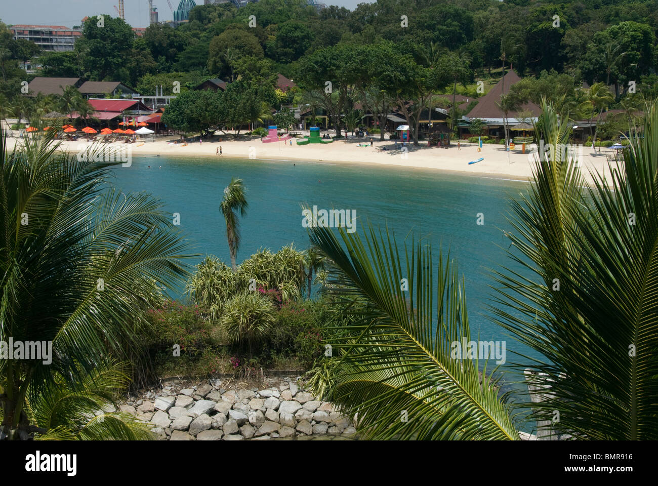 Palm trees and Beach, Sentosa Island, Singapore Stock Photo - Alamy