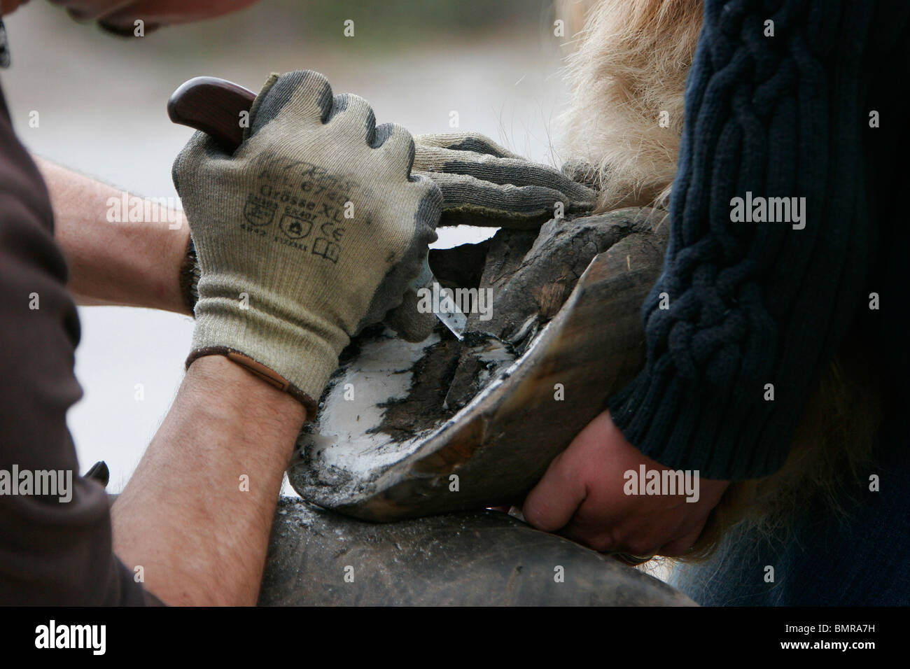 Farrier shod a horse hi-res stock photography and images - Alamy
