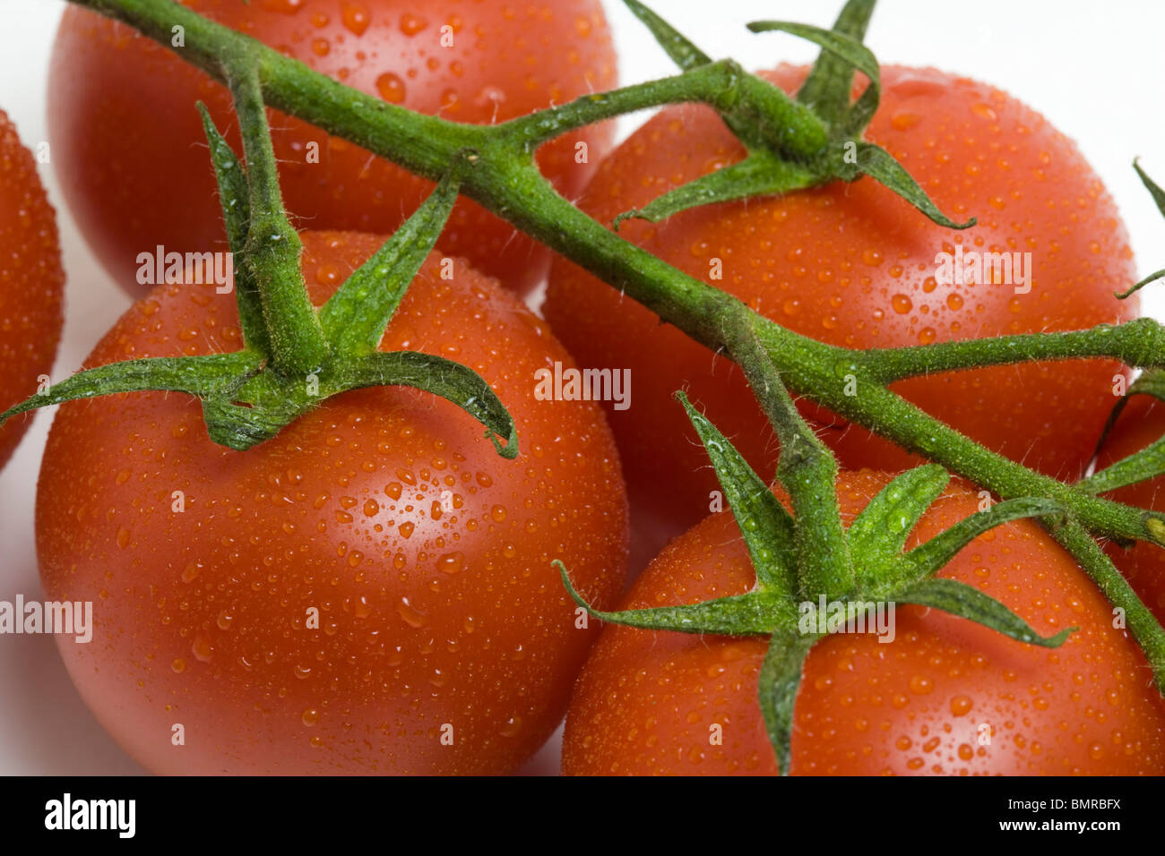 Red vine tomatoes Stock Photo - Alamy