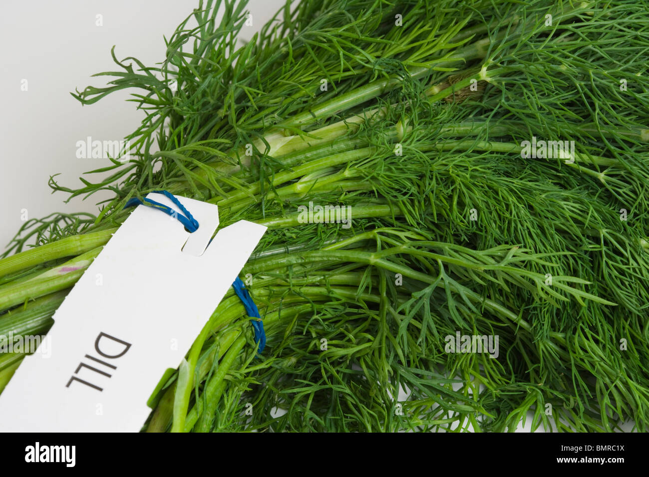 Apiaceae Umbelliferae High Resolution Stock Photography and Images - Alamy