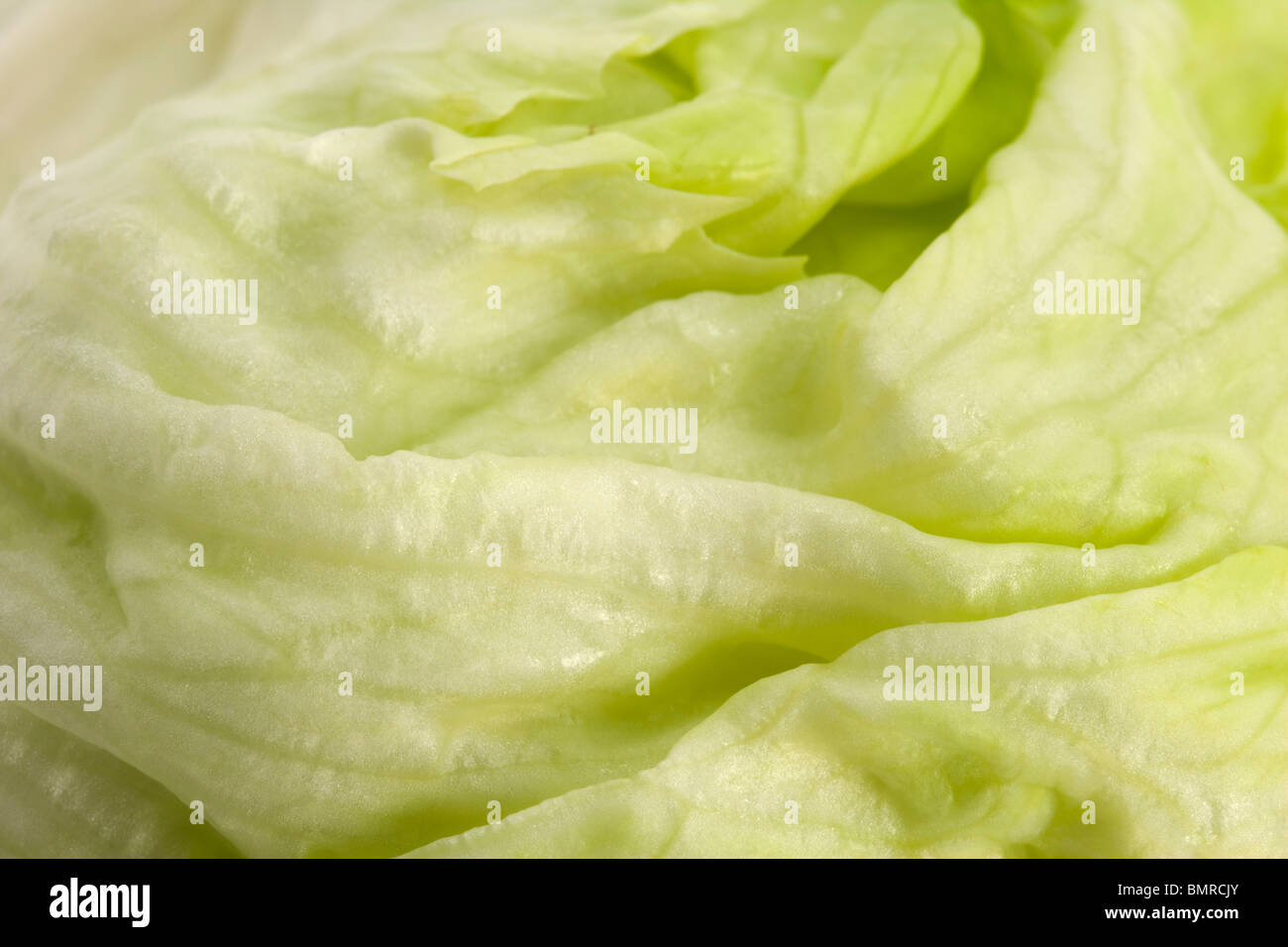 Iceberg lettuce leaf hi-res stock photography and images - Alamy