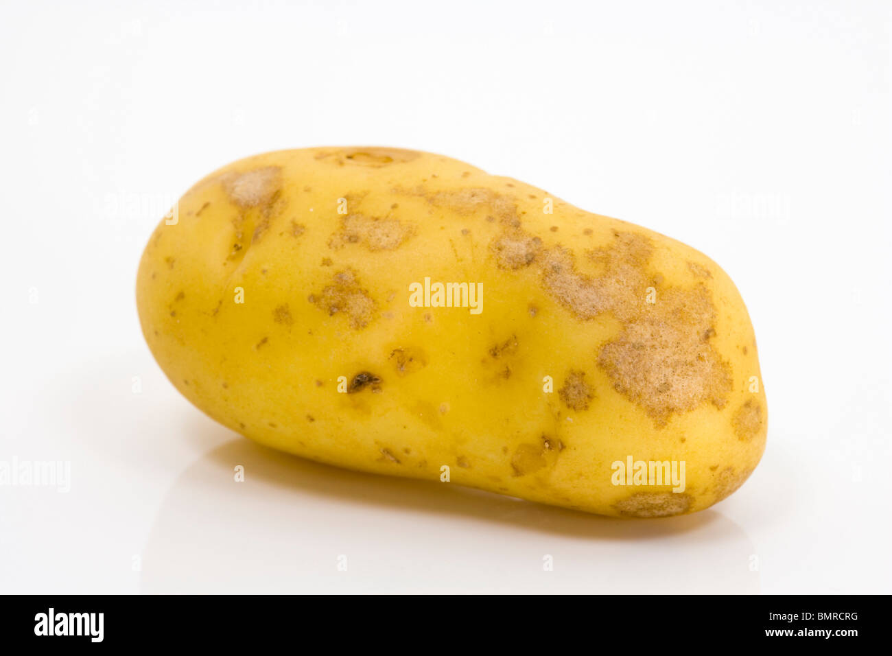 One potato on white background Stock Photo - Alamy