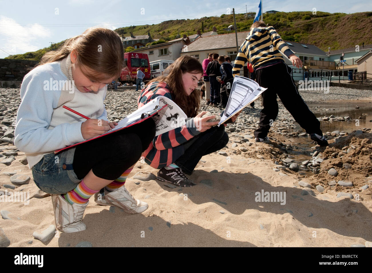 Students measuring beach hi-res stock photography and images - Alamy