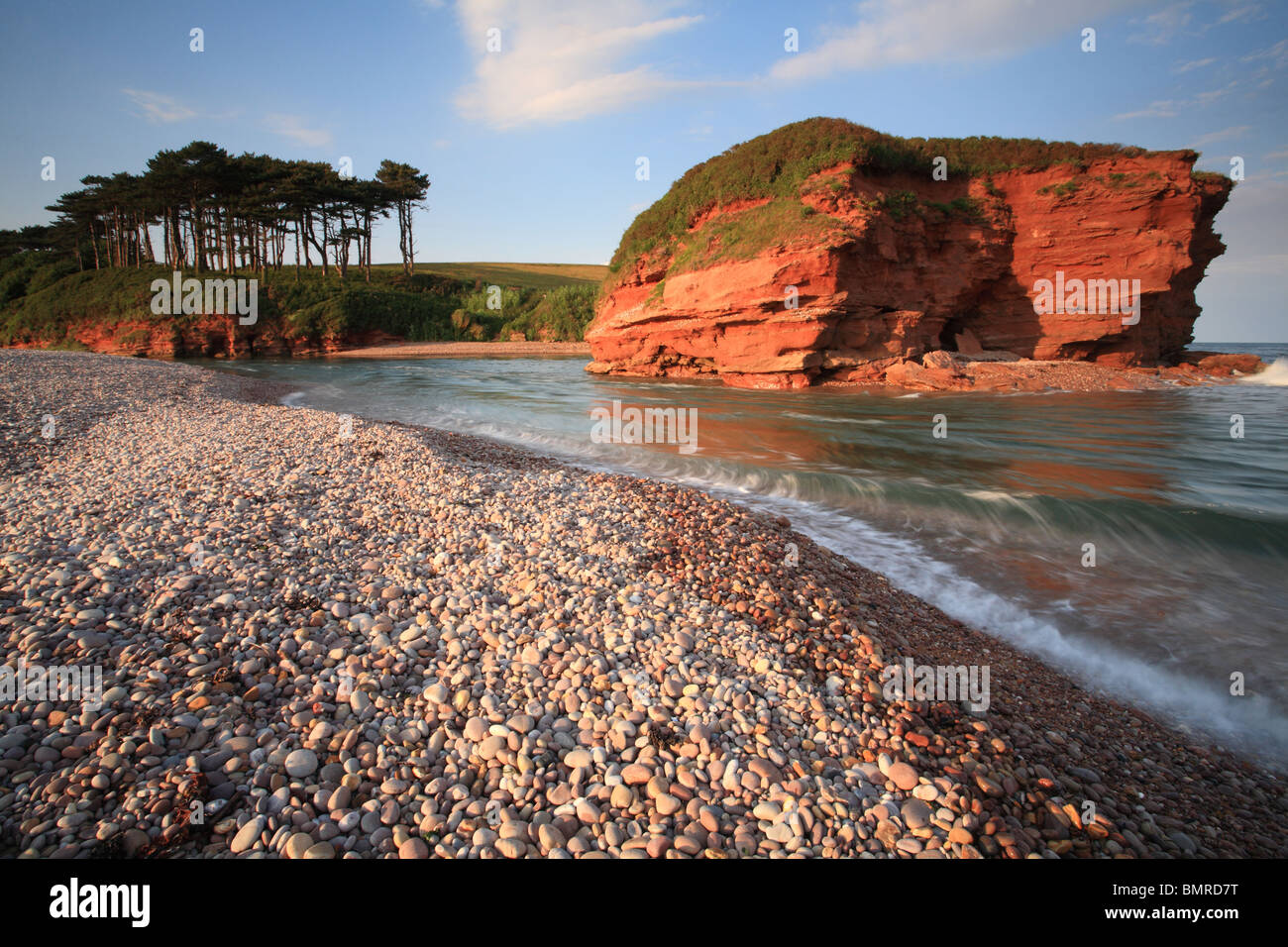 River otter devon hi-res stock photography and images - Alamy