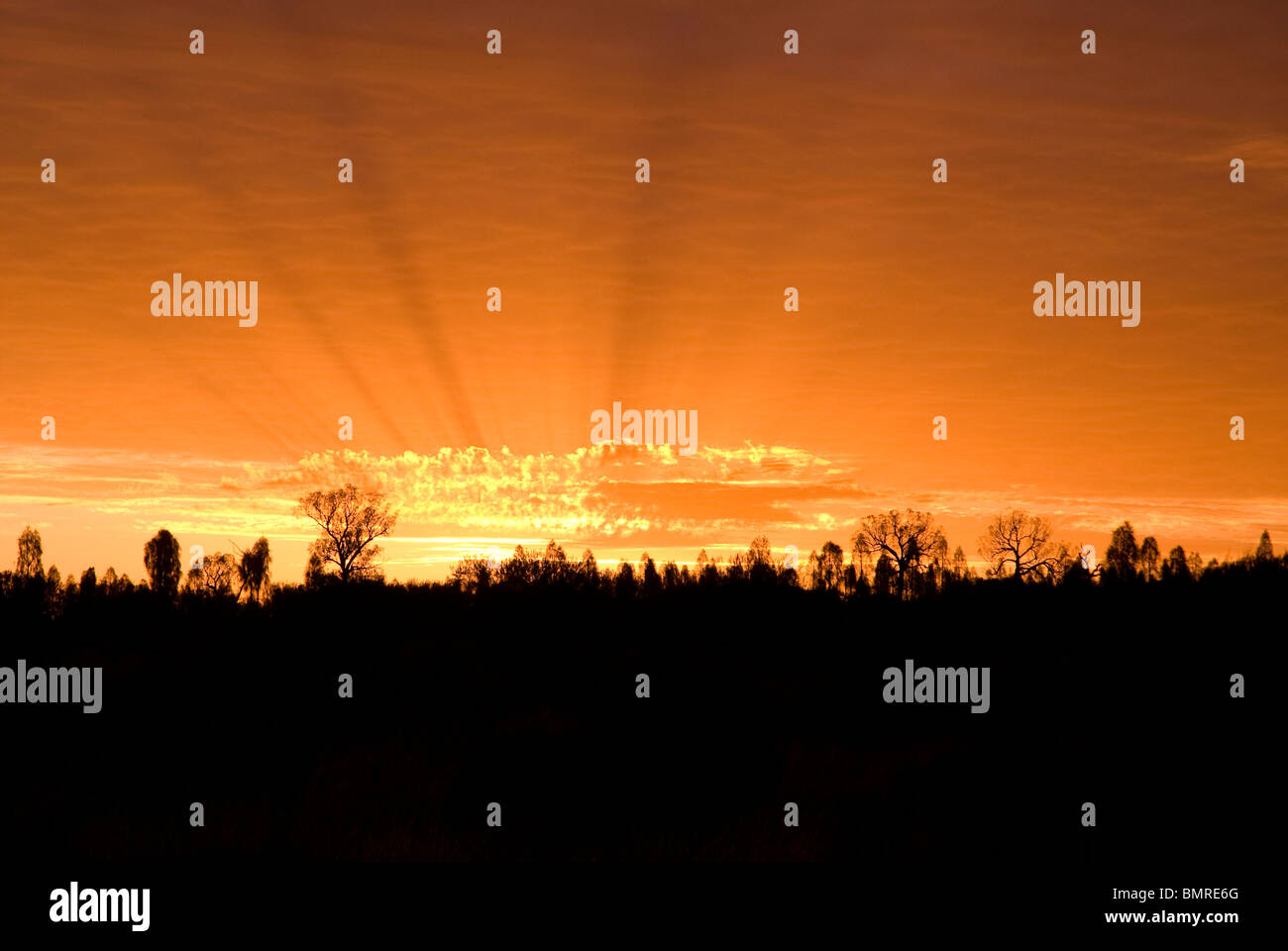 Uluru National Park Northern Territory Australia at sunset Stock Photo ...