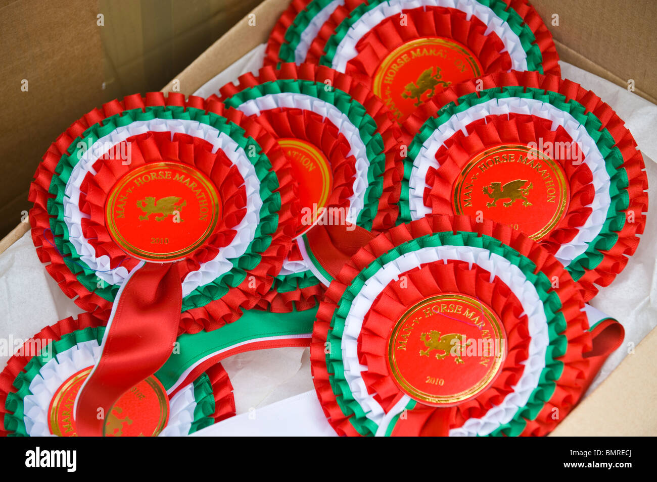 Rosette horse hi-res stock photography and images - Alamy