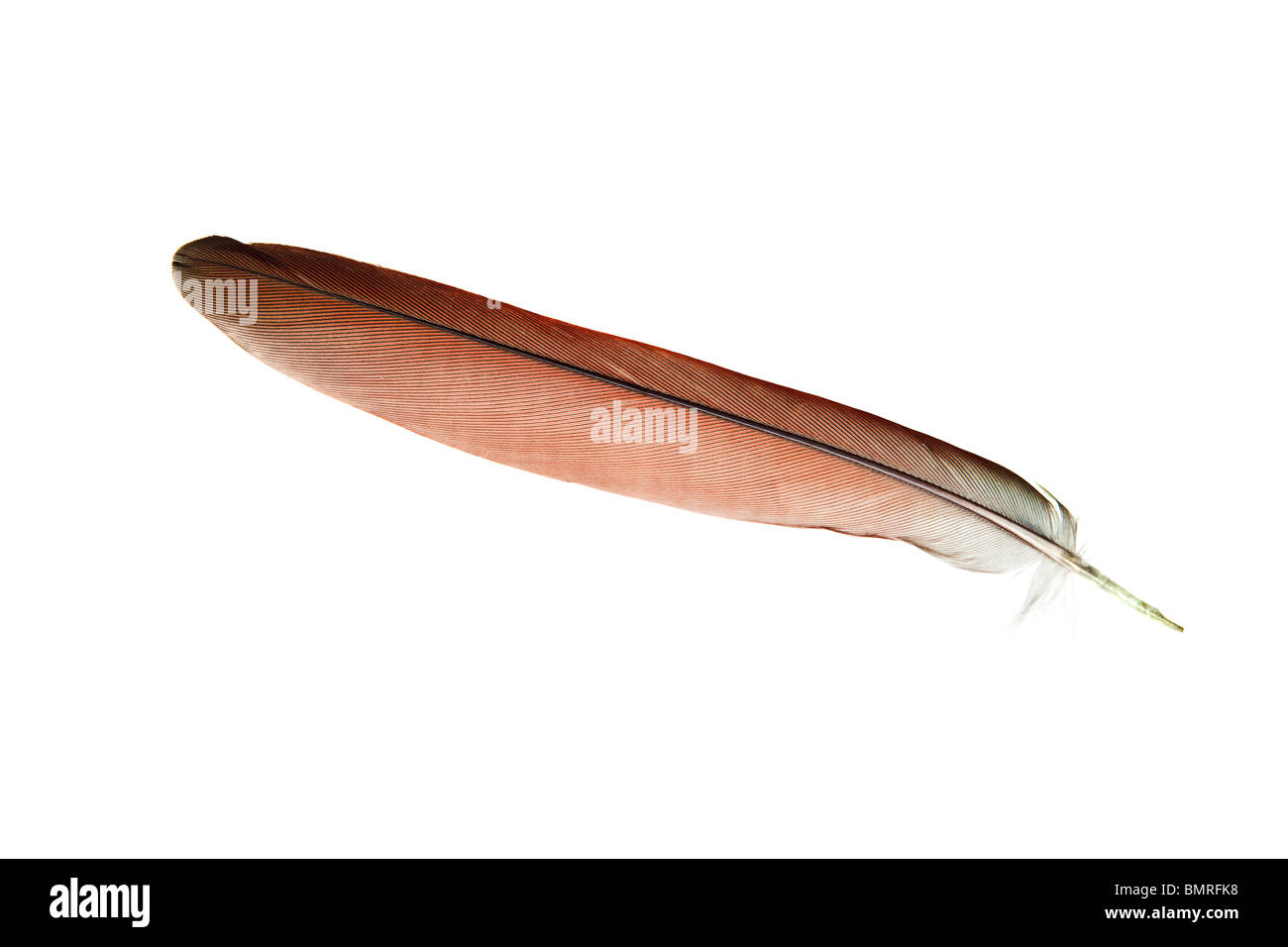 Black background with red pattern Cut Out Stock Images & Pictures - Alamy