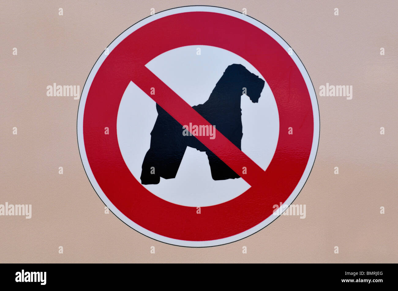No dog sign Stock Photo - Alamy