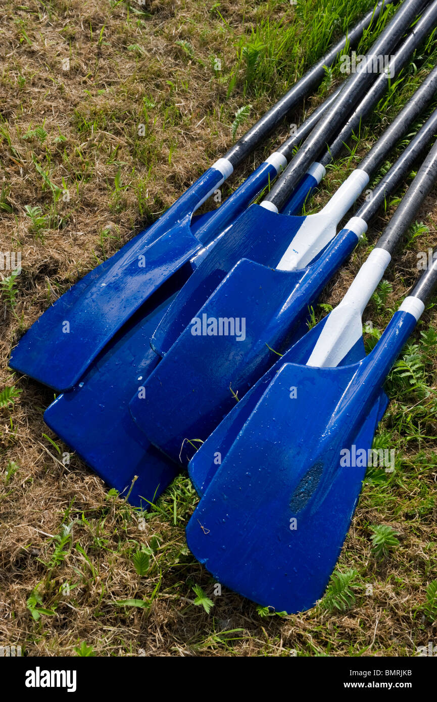 Ground paddles hi-res stock photography and images - Alamy