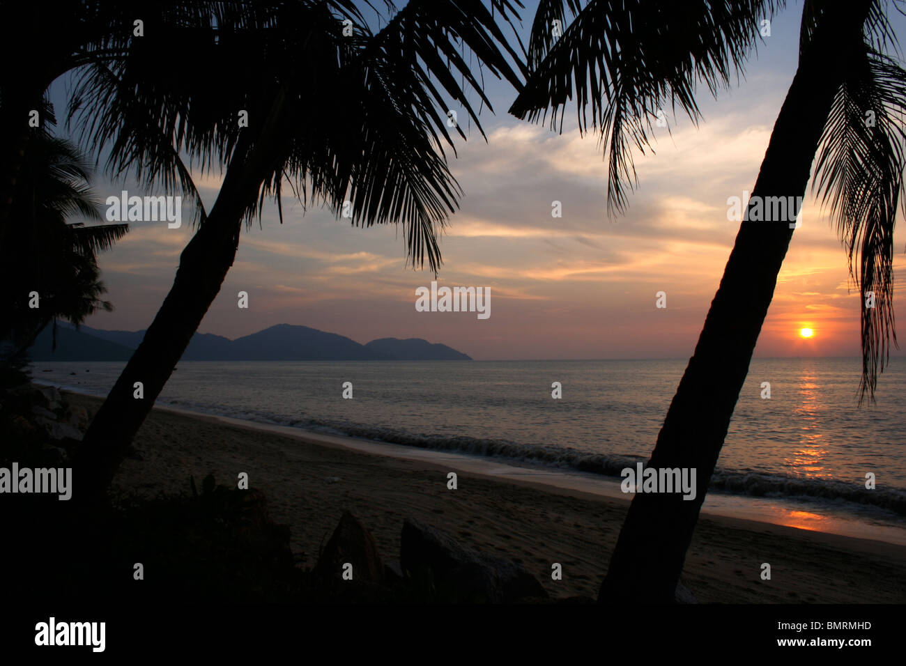 Sunset through palm trees penang malaysia dusk Stock Photo - Alamy