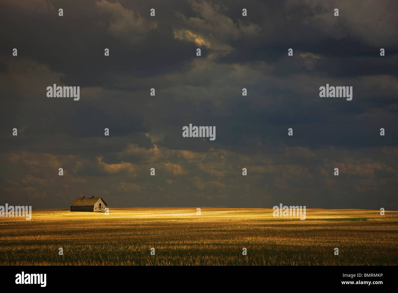 Tofield alberta hi-res stock photography and images - Alamy