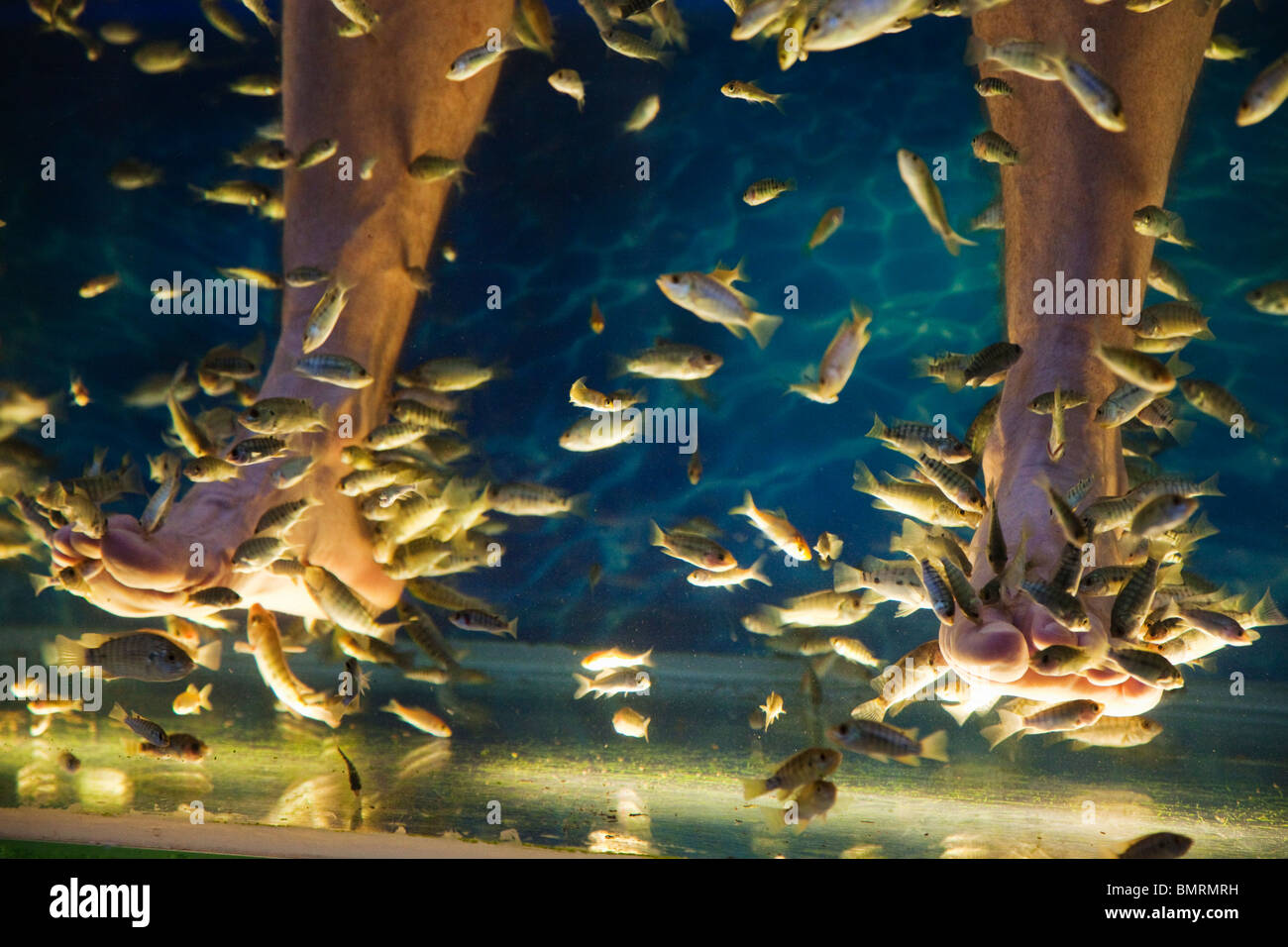 Tickling feet hi-res stock photography and images - Alamy