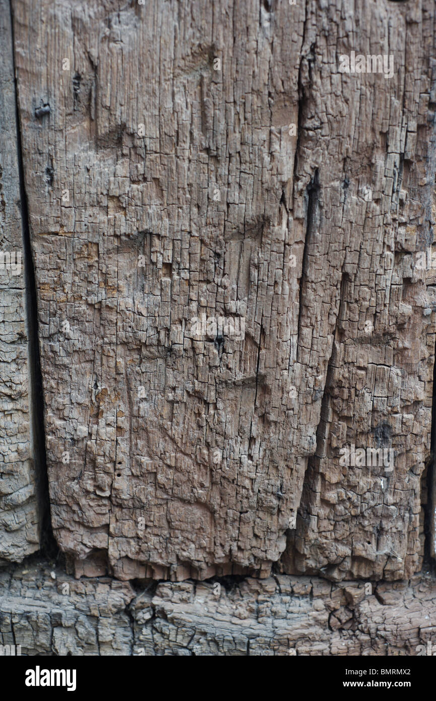 Tudor wood from Shakespeare' era Stock Photo - Alamy