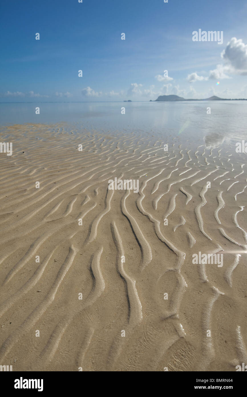 Sandbar, Kaneohe Bay, Kaneohe, Oahu, Hawaii Stock Photo - Alamy