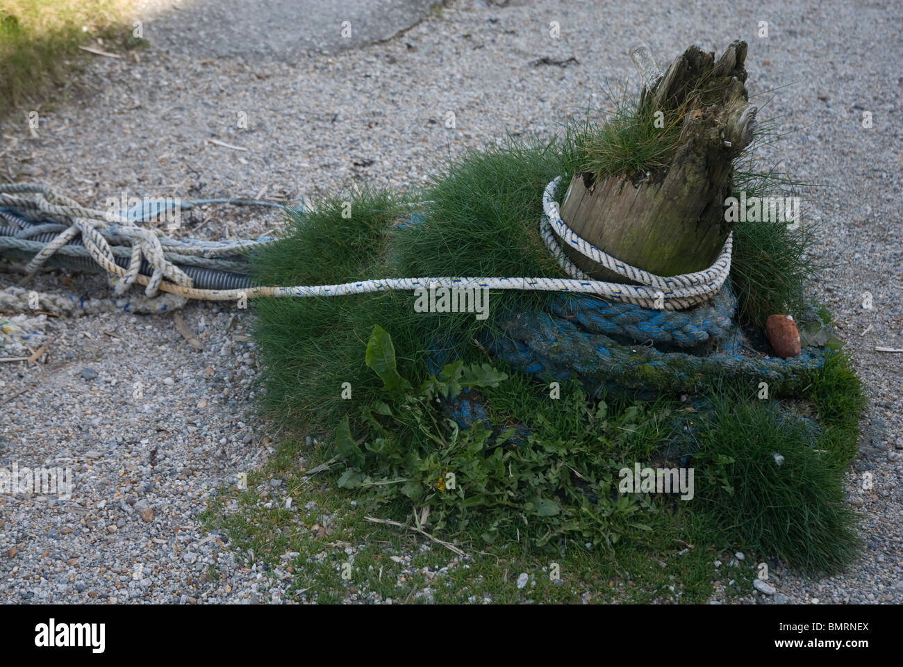 Rope tied to tree hi-res stock photography and images - Alamy