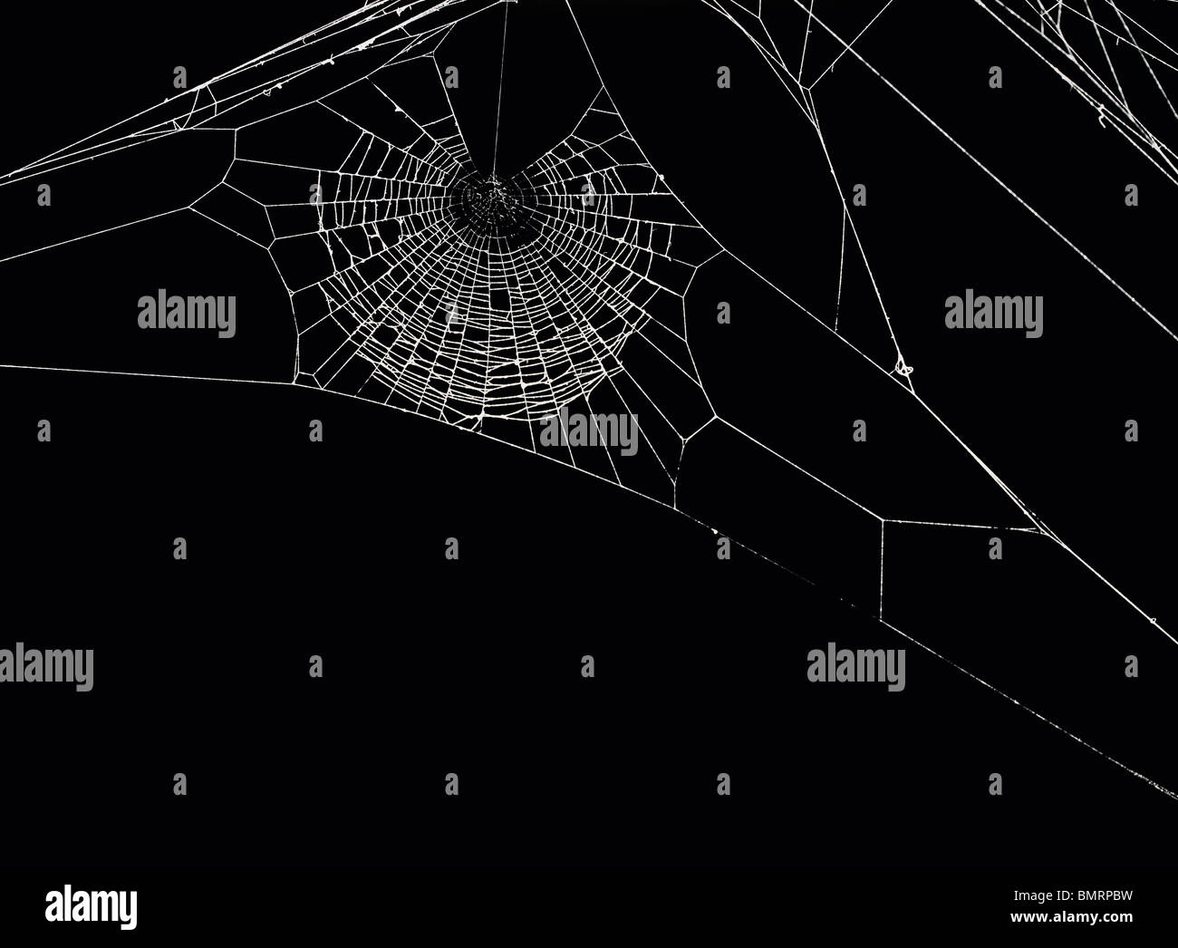 Spider web on a black background Stock Photo - Alamy