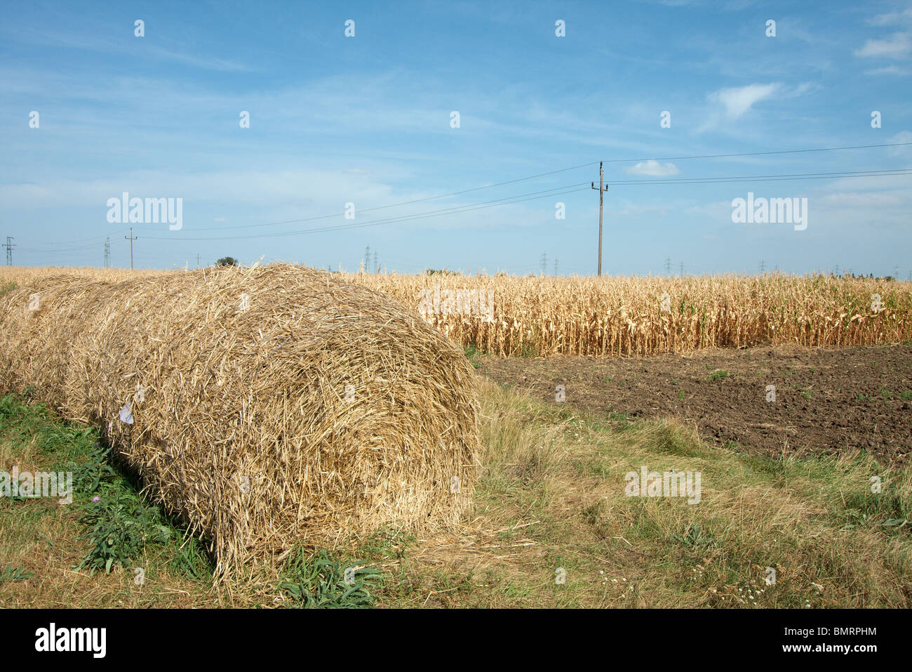 Dry rural field with hay stacks Stock Photo - Alamy