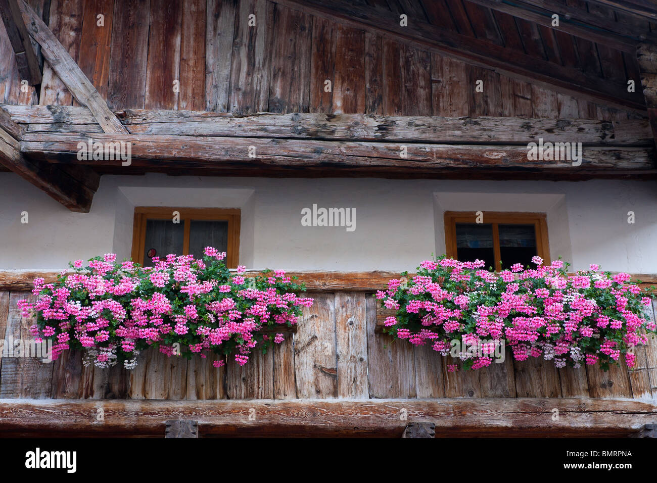 Mountains flowers hi-res stock photography and images - Alamy