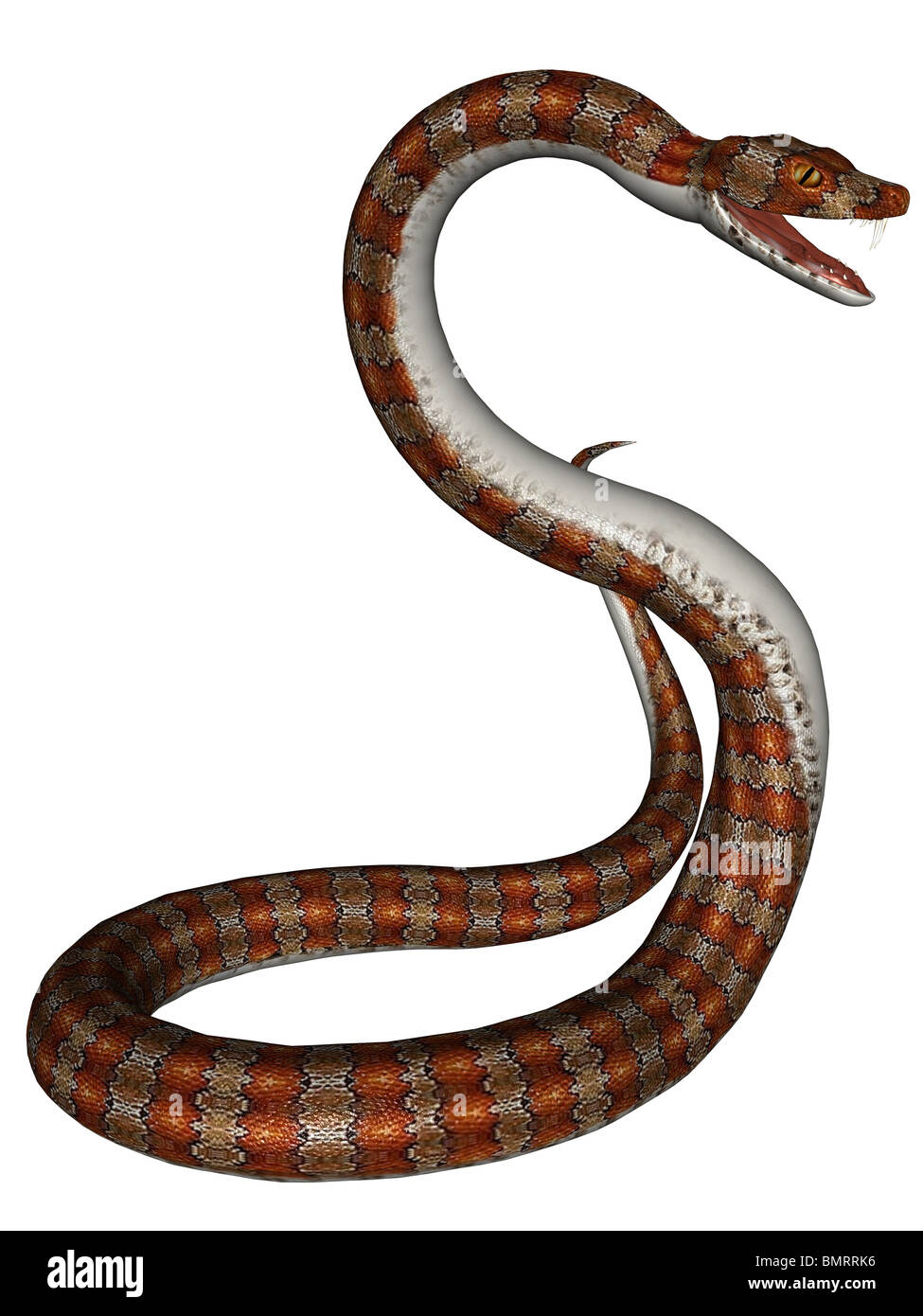 3D rendered snake on white background isloated Stock Photo - Alamy