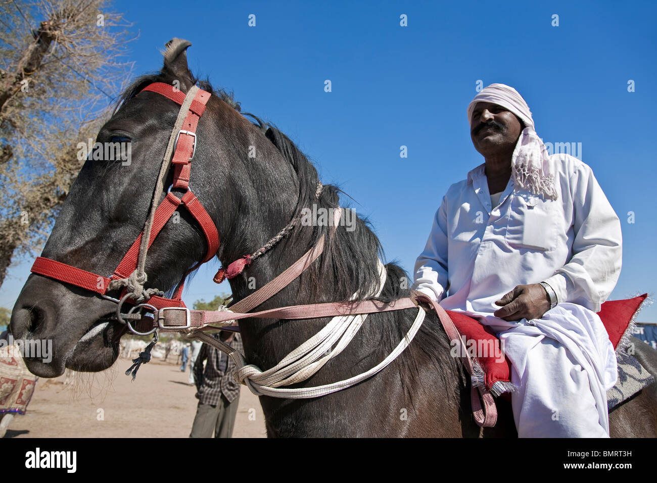 Indian man and horse hi-res stock photography and images - Alamy