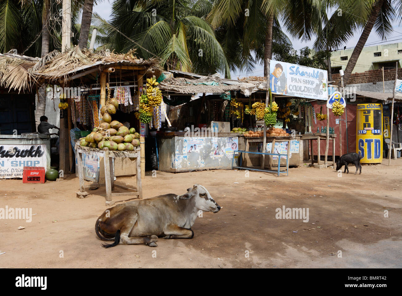 Cow Seated ; Kamalapur ; Hampi ; Deccan Plateau ; Taluka Hospet ...