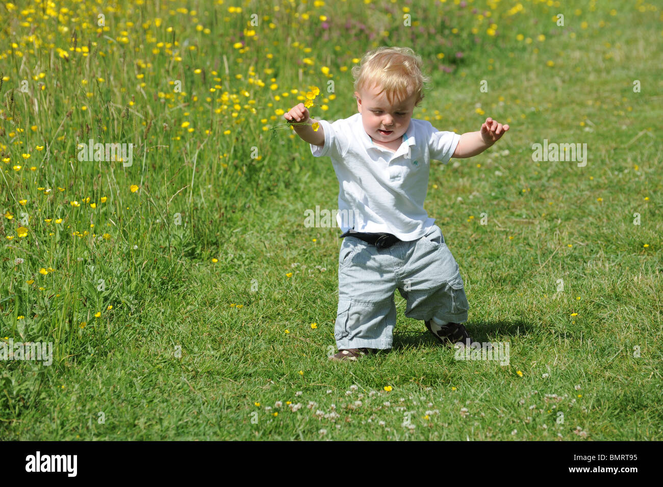 Learning step hi-res stock photography and images - Alamy