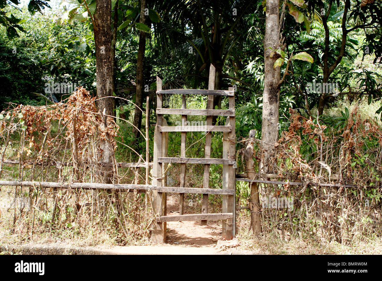 Village bhogwe konkan hi-res stock photography and images - Alamy