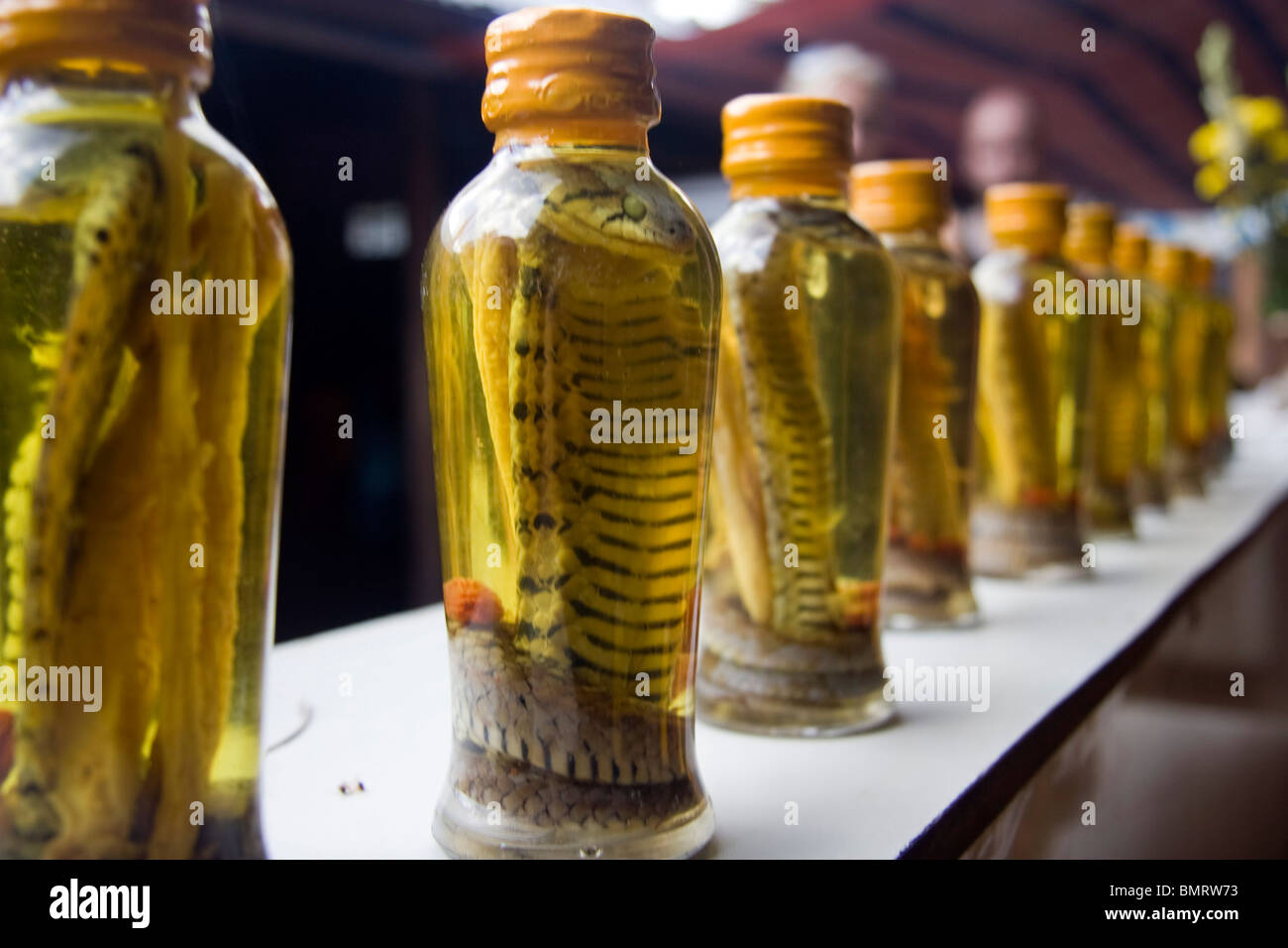 Snake Wine Vietnam Stock Photos & Snake Wine Vietnam Stock Images - Alamy