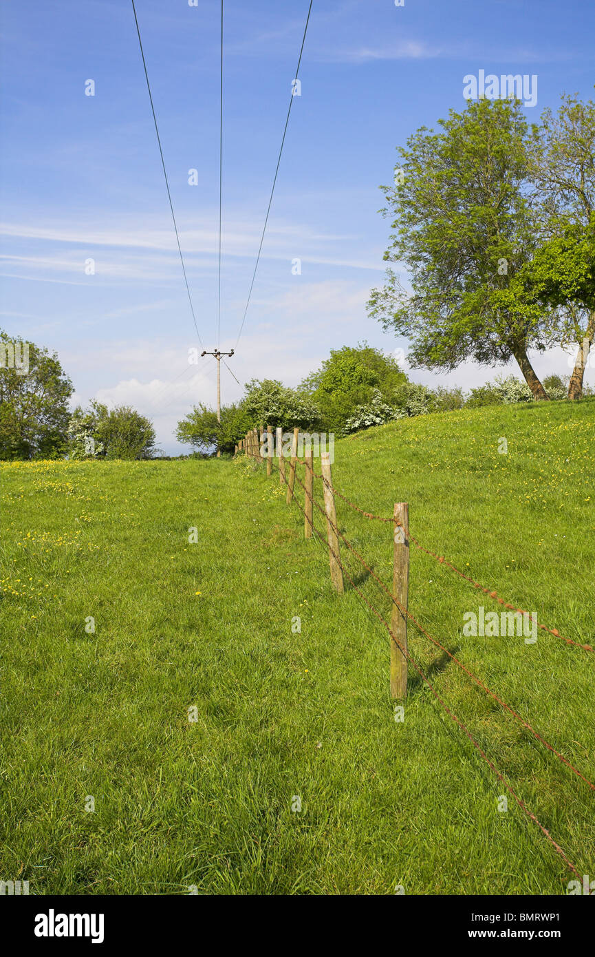Parallel fence and power lines running through meadow at Congresbury ...