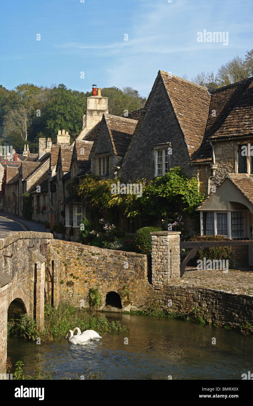 Castle Combe, Wiltshire, England. Cottages line The Street. Swans feed ...