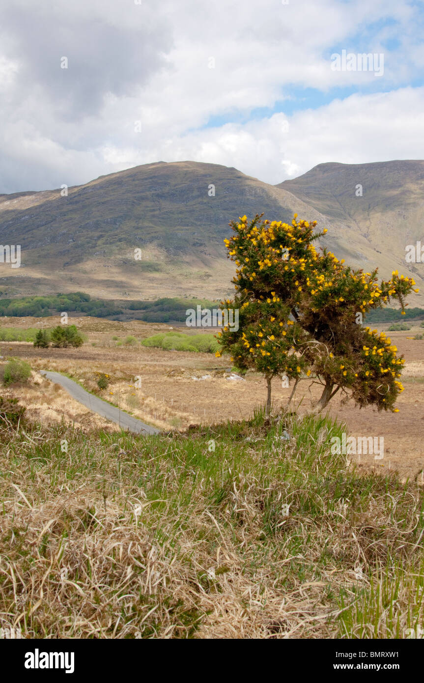 Overlooking a road hi-res stock photography and images - Alamy