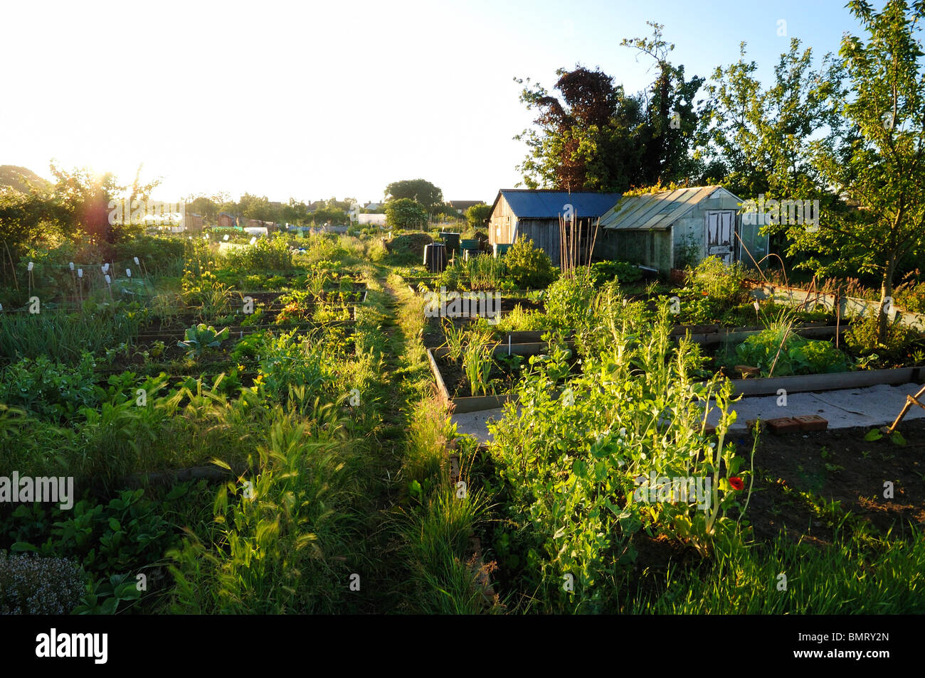 Allotments uk hi-res stock photography and images - Alamy