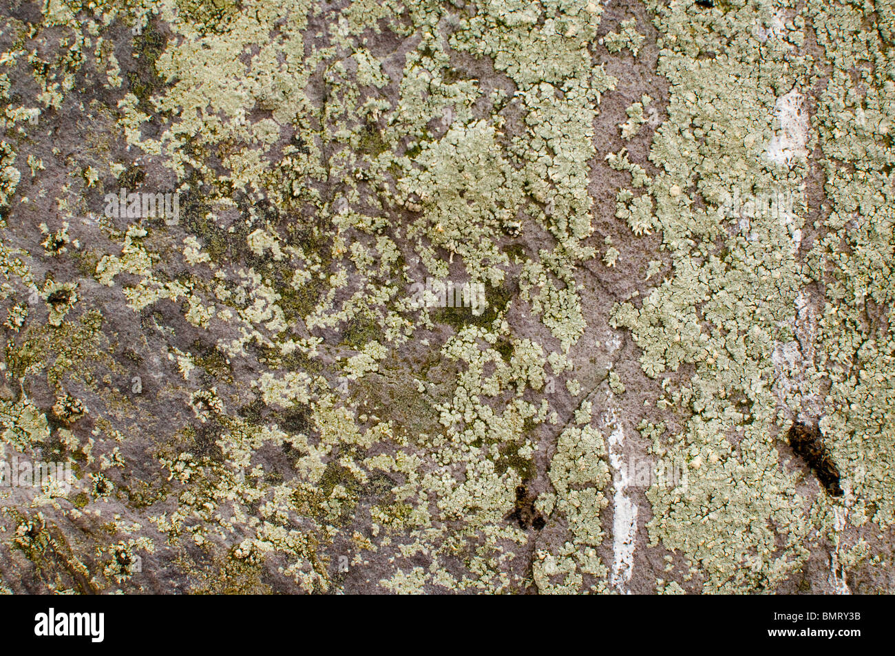 Mottled rocks hi-res stock photography and images - Alamy