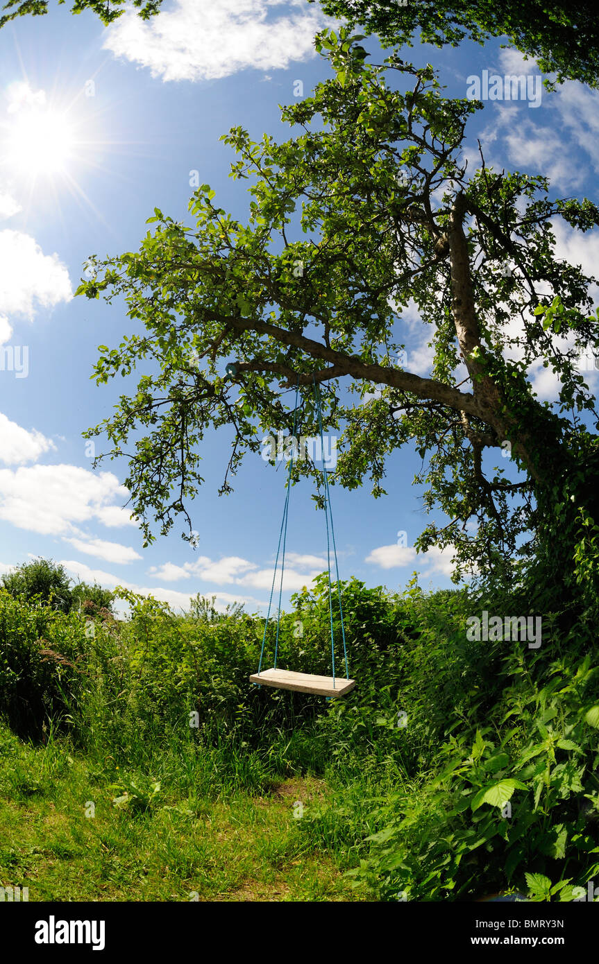 Make-shift swing in tree, Norwich UK Stock Photo - Alamy