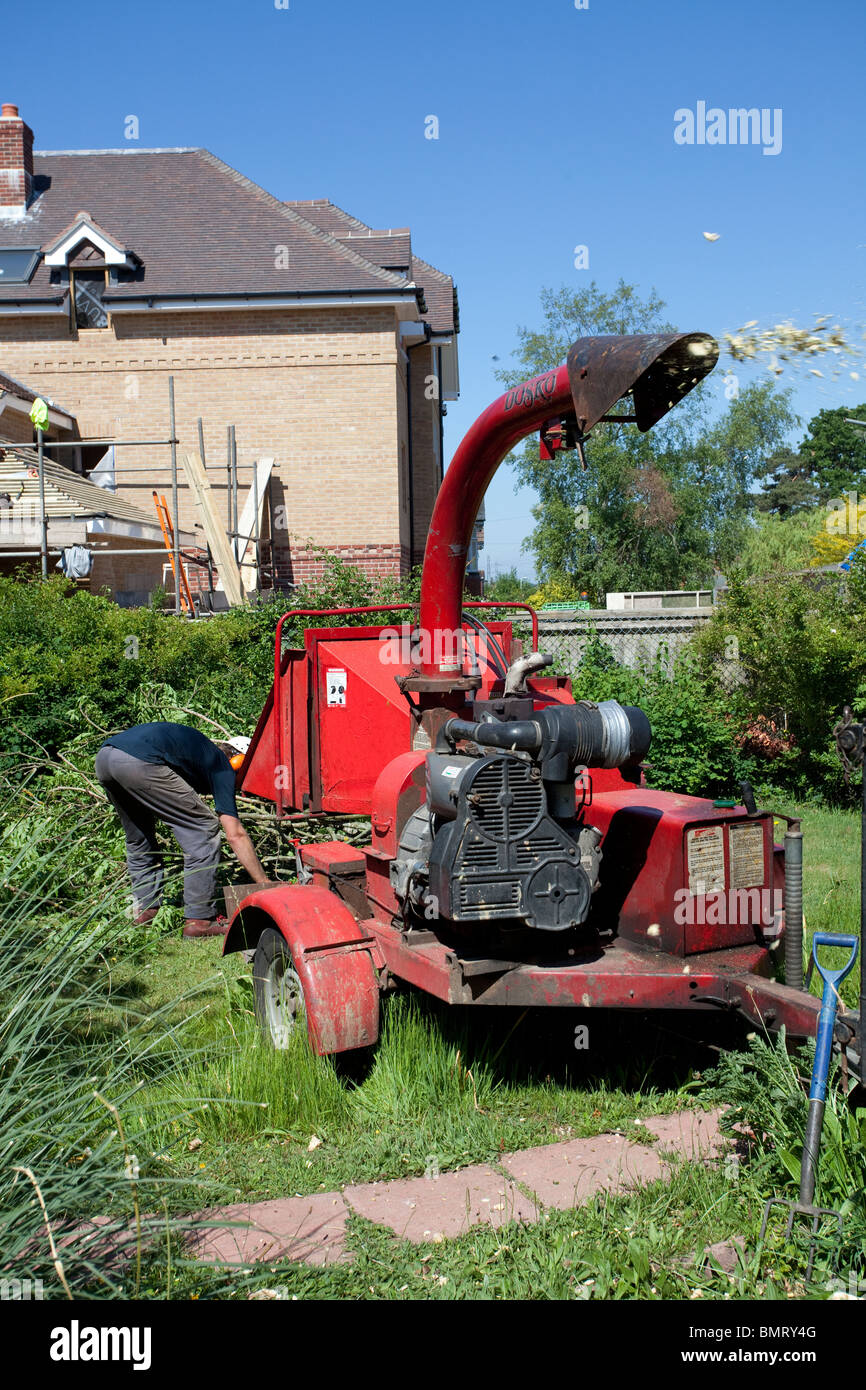 tree surgeon using wood chipper on branches of cut down tree Stock ...
