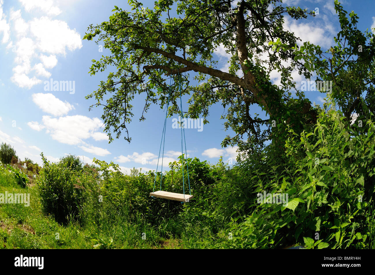 Tree swing hi-res stock photography and images - Alamy