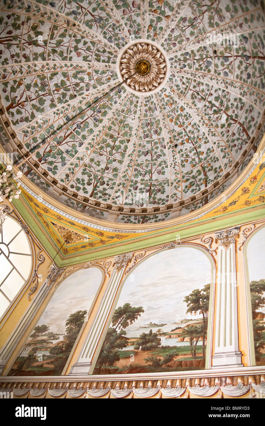 Wall decoration in topkapi palace hi-res stock photography and images ...