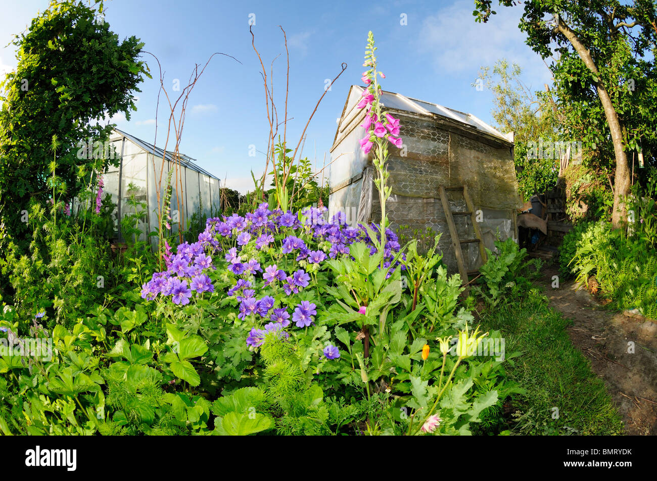 Hut with ladder hi-res stock photography and images - Alamy
